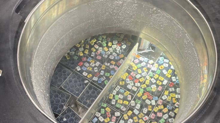 Cryogenic Freezing Equipment and Cryo Storage Tanks Provider